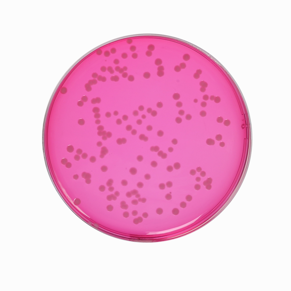 Brilliant Green Agar Merck