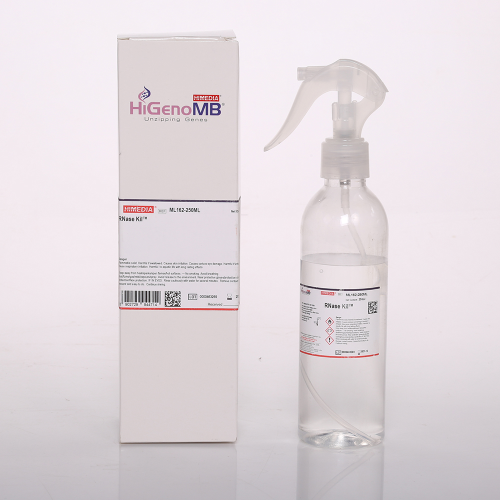 Rnazap Spray